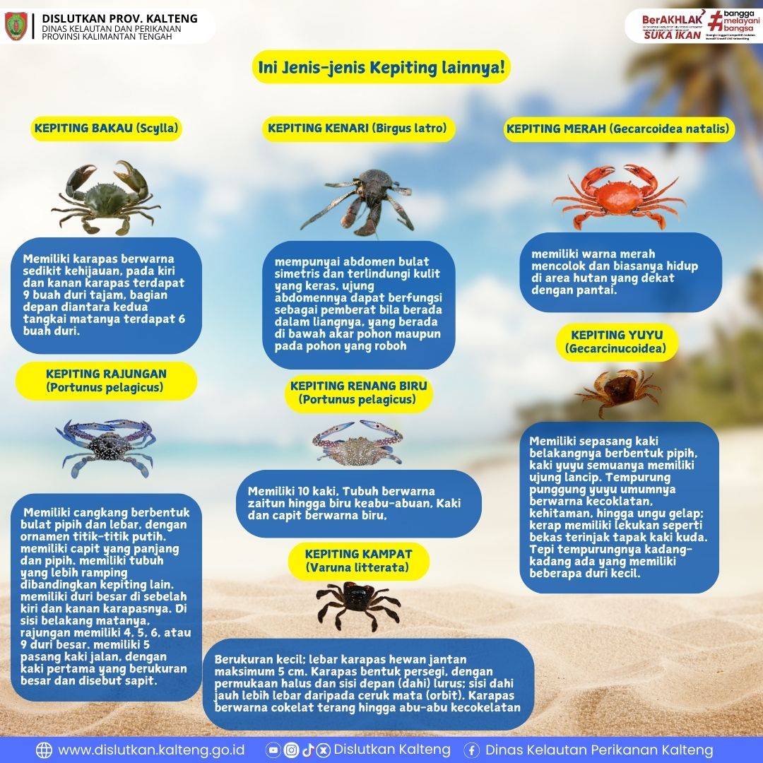 Berita Dislutkan Jenis-Jenis kepiting