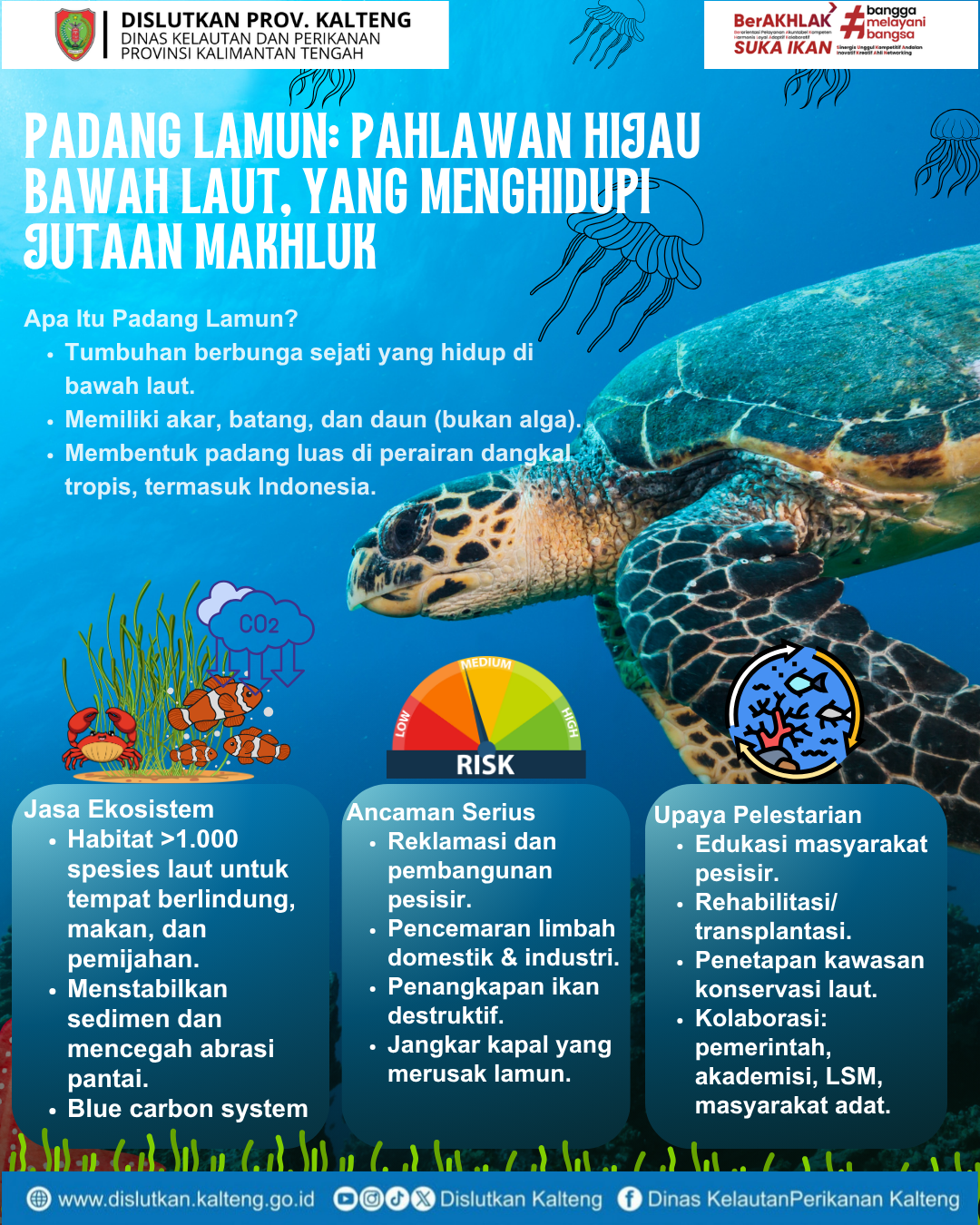 Berita Dislutkan Apa Itu Padang Lamun?